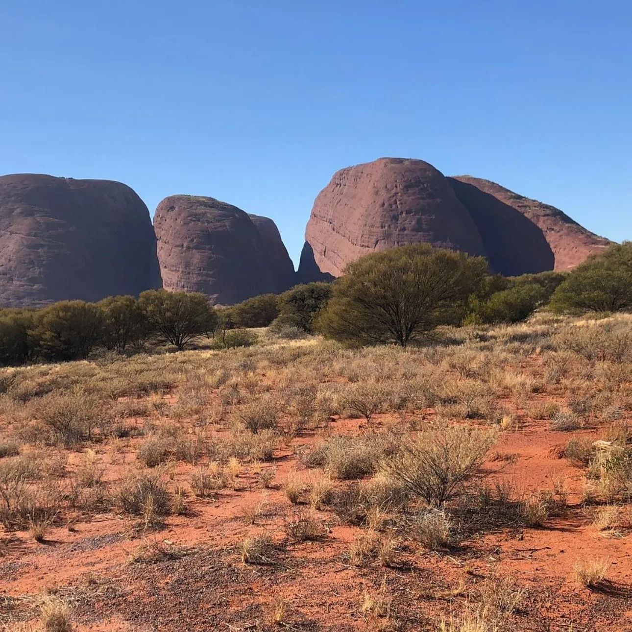 Can You Walk Around Uluru? Explore Trails & Cultural Significance